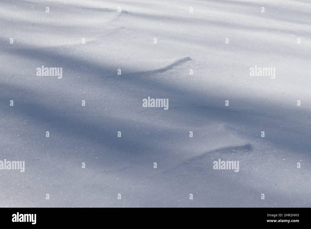 snow covered field texture background Stock Photo - Alamy