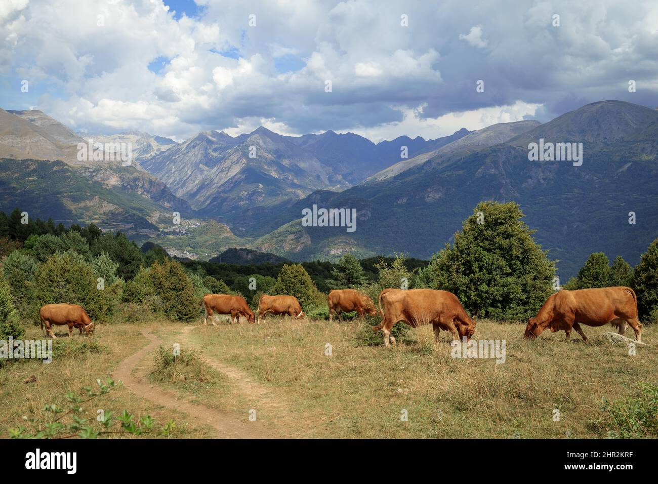 Aragon mountains hi-res stock photography and images - Alamy