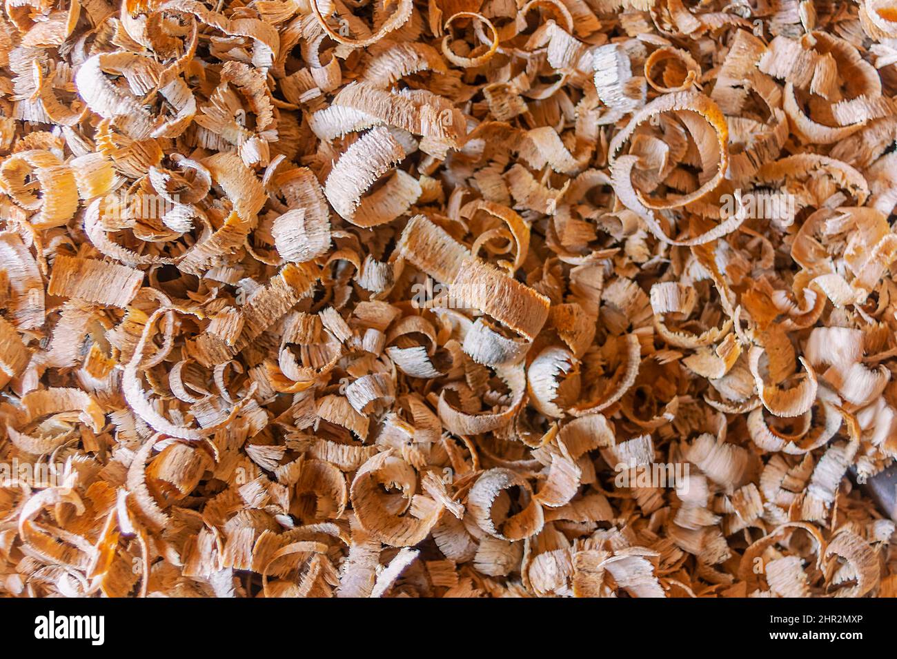 Texture of wooden waste Stock Photo - Alamy