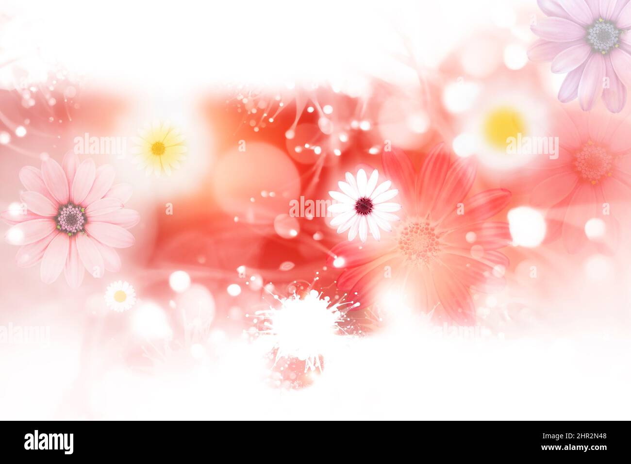 Beautiful and multi-colored floral prints and pretty patterns of ...