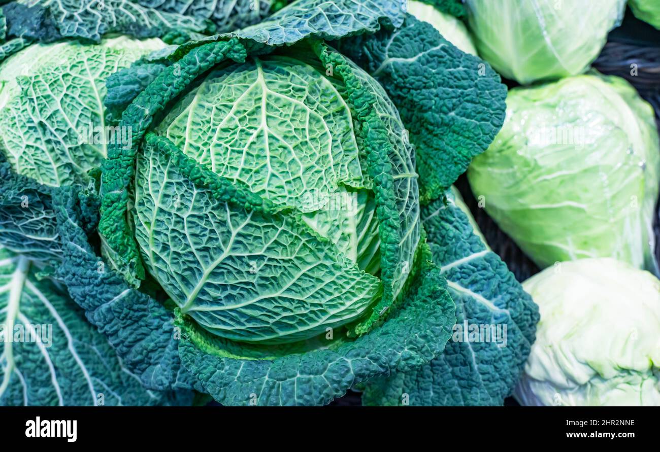 Vitamin fresh salad cabbage hi-res stock photography and images - Alamy