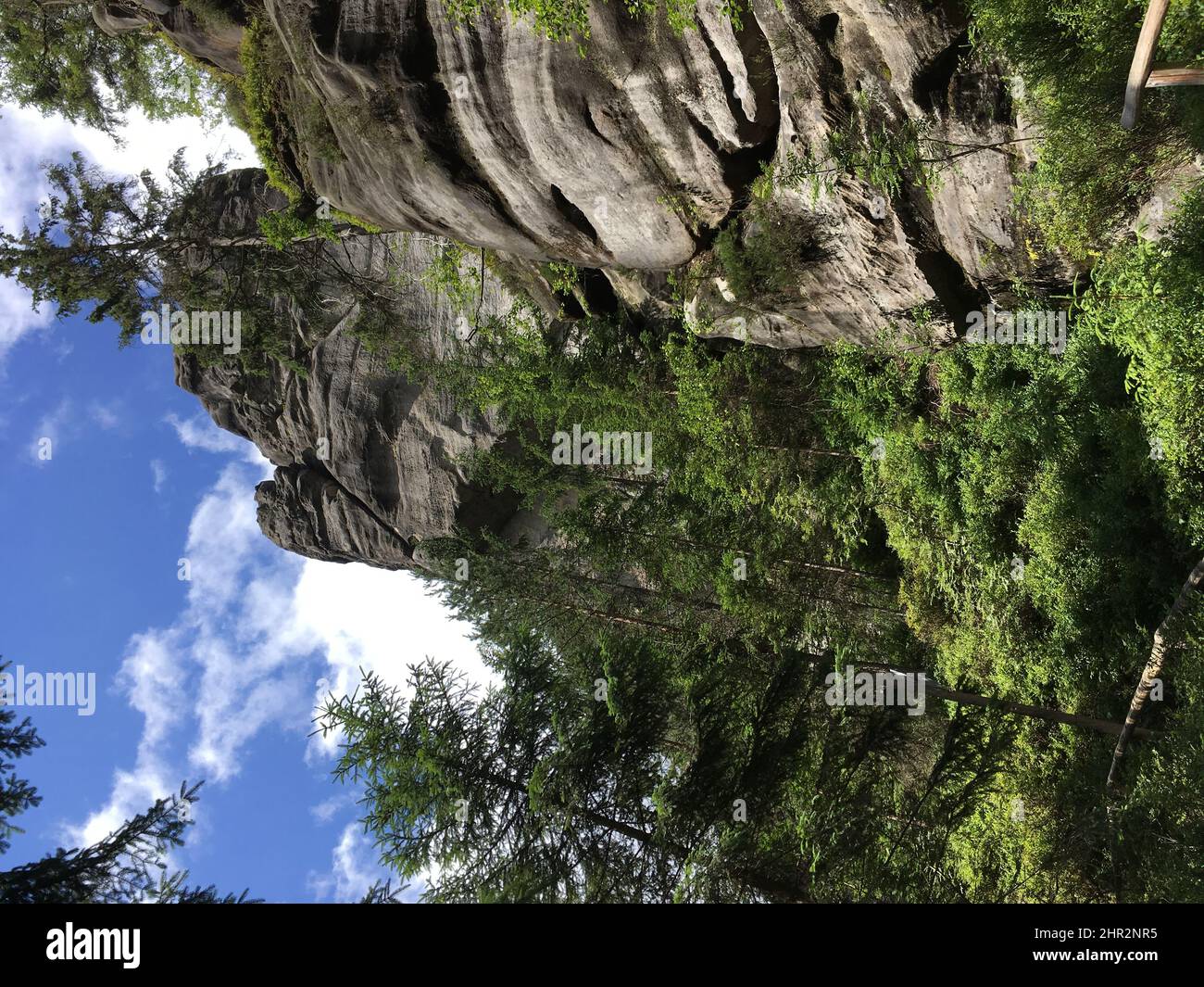 High sandstone rocks with spruce trees on top Stock Photo - Alamy