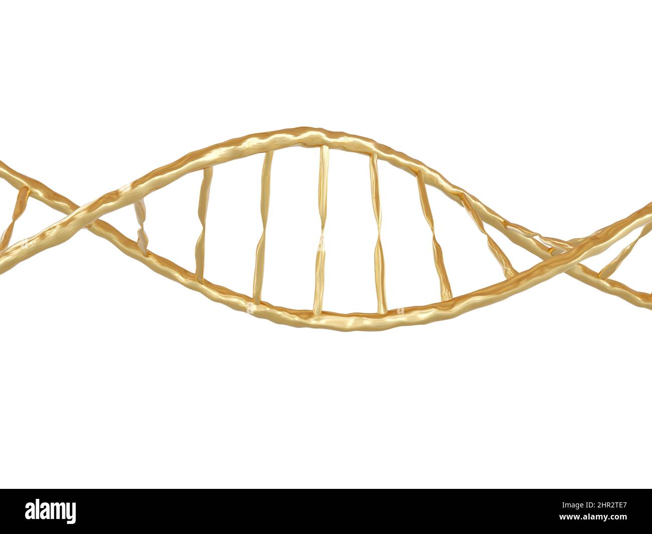 Segment of golden DNA structure on white background Stock Photo - Alamy
