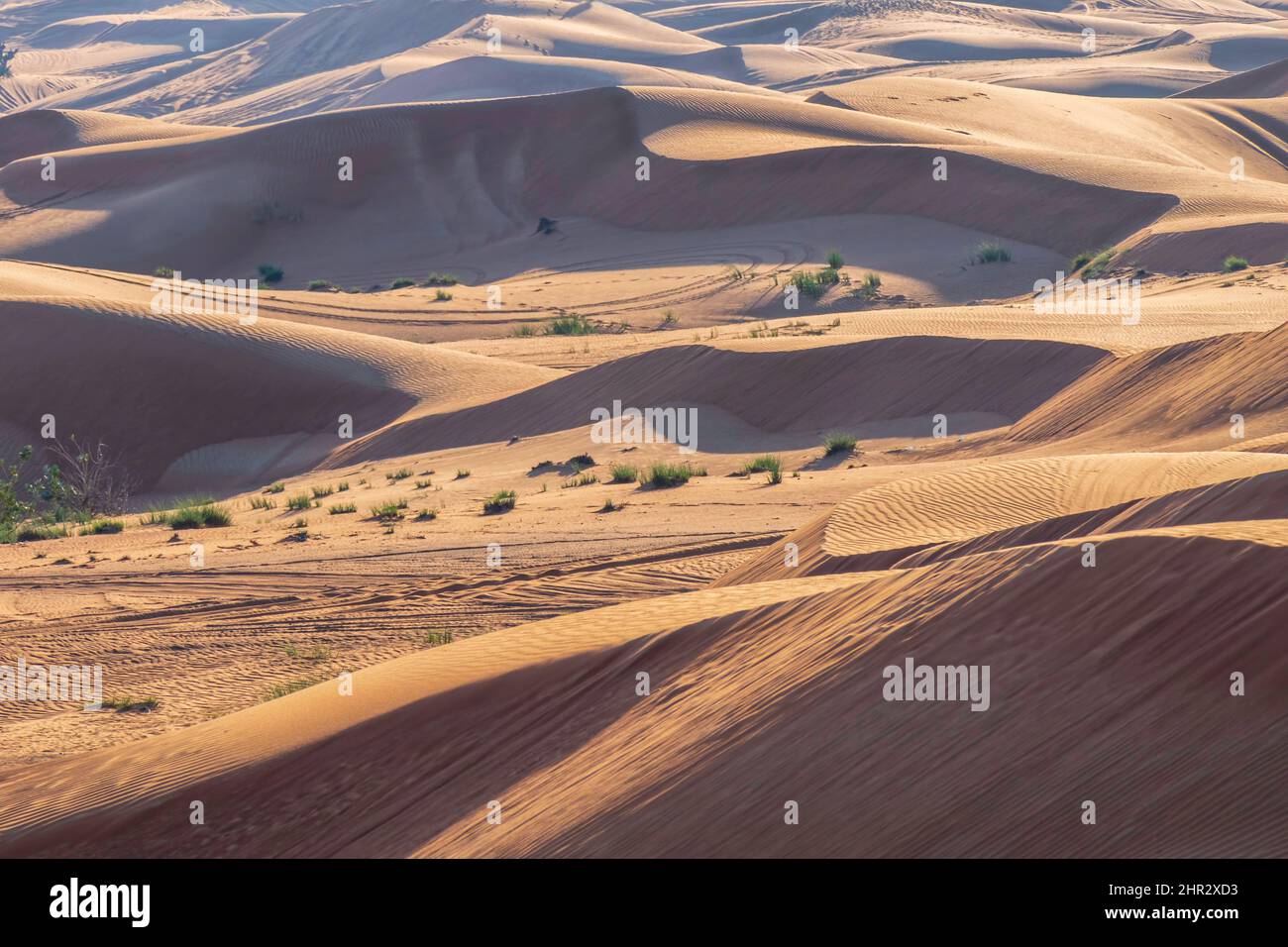 Sand dunes of the Arabian desert. Abu Dhabi, United Arab Emirates Stock ...