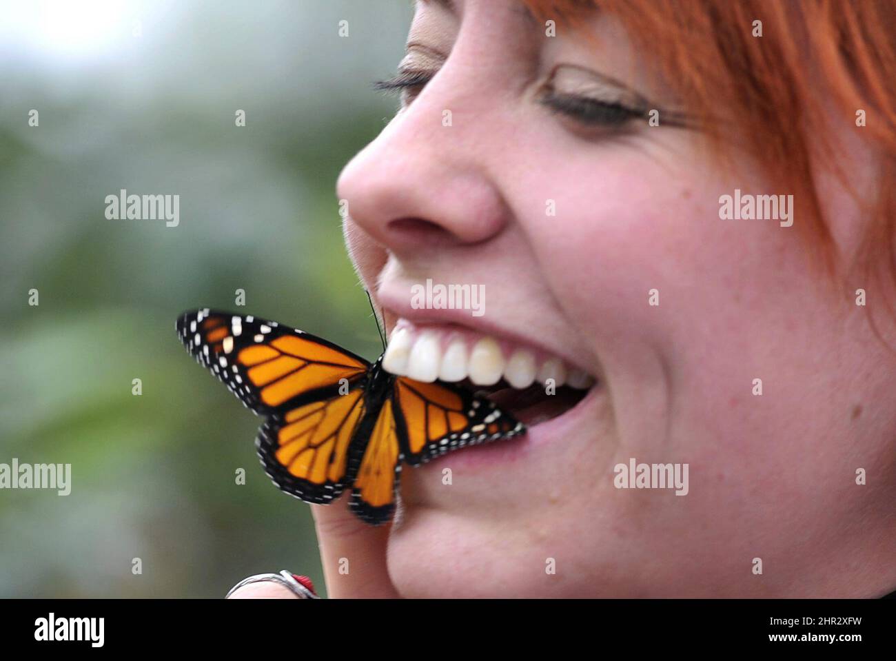 A Monarch butterfly flies into the mouth of Marika D'Eschambeault, a ...