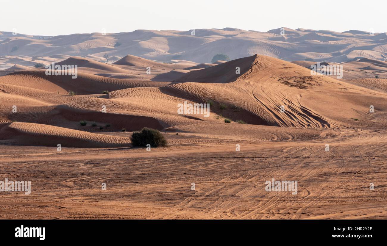 Sand dunes of the Arabian desert. Abu Dhabi, United Arab Emirates Stock ...