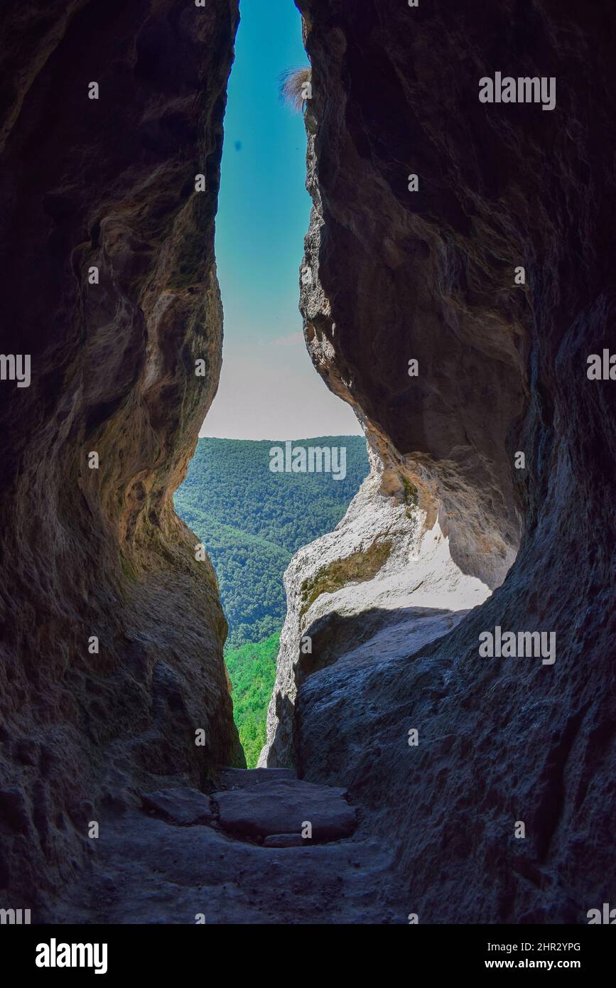 Vertical of mountains covered with green forests seen behind a crack in ...