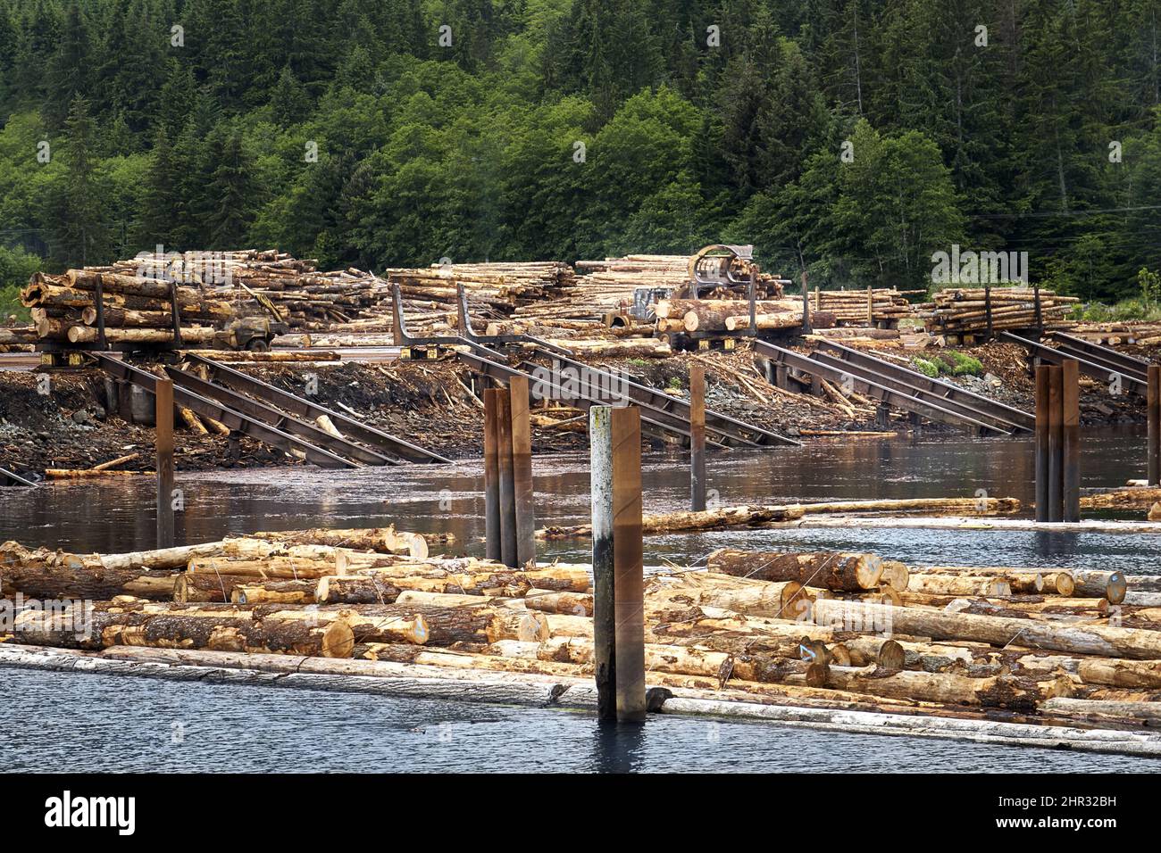 A log sort showing machine loading log bundle onto the slide and logs ...