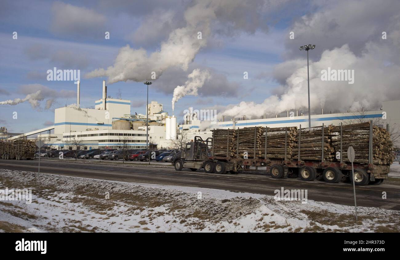 A Domtar paper plant is shown in Windsor, Que., Thursday, January 6 ...