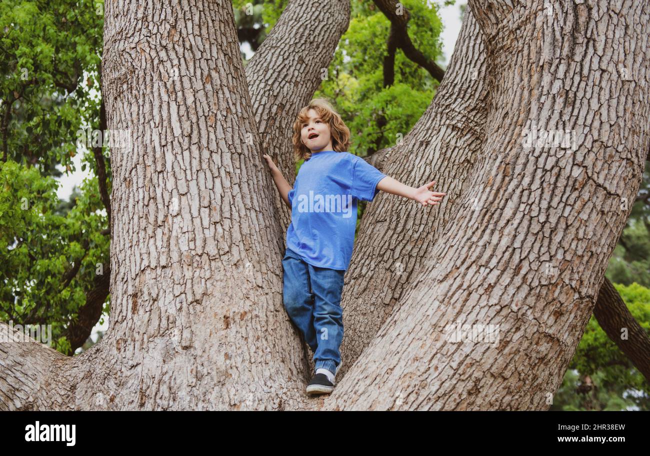 Kid boy resting on a large tree. A young child climbs a tree Stock ...