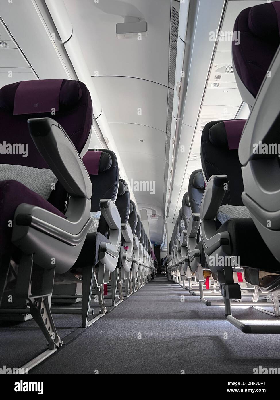 Rows of open seats on Qatar Air flight Stock Photo - Alamy