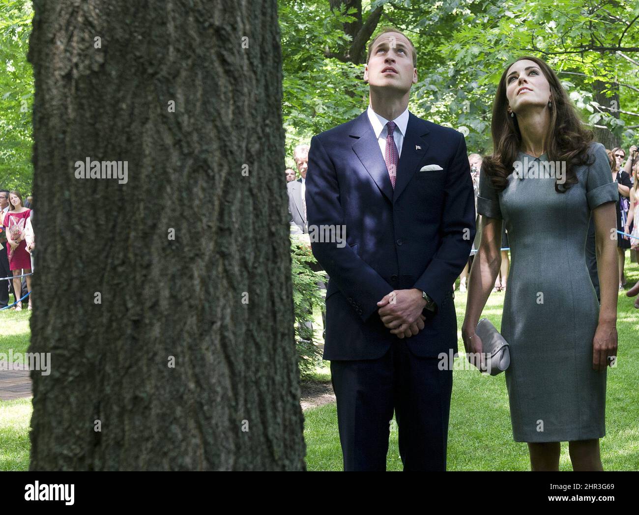 The Duke and Duchess of Cambridge look up at the tree which was planted ...