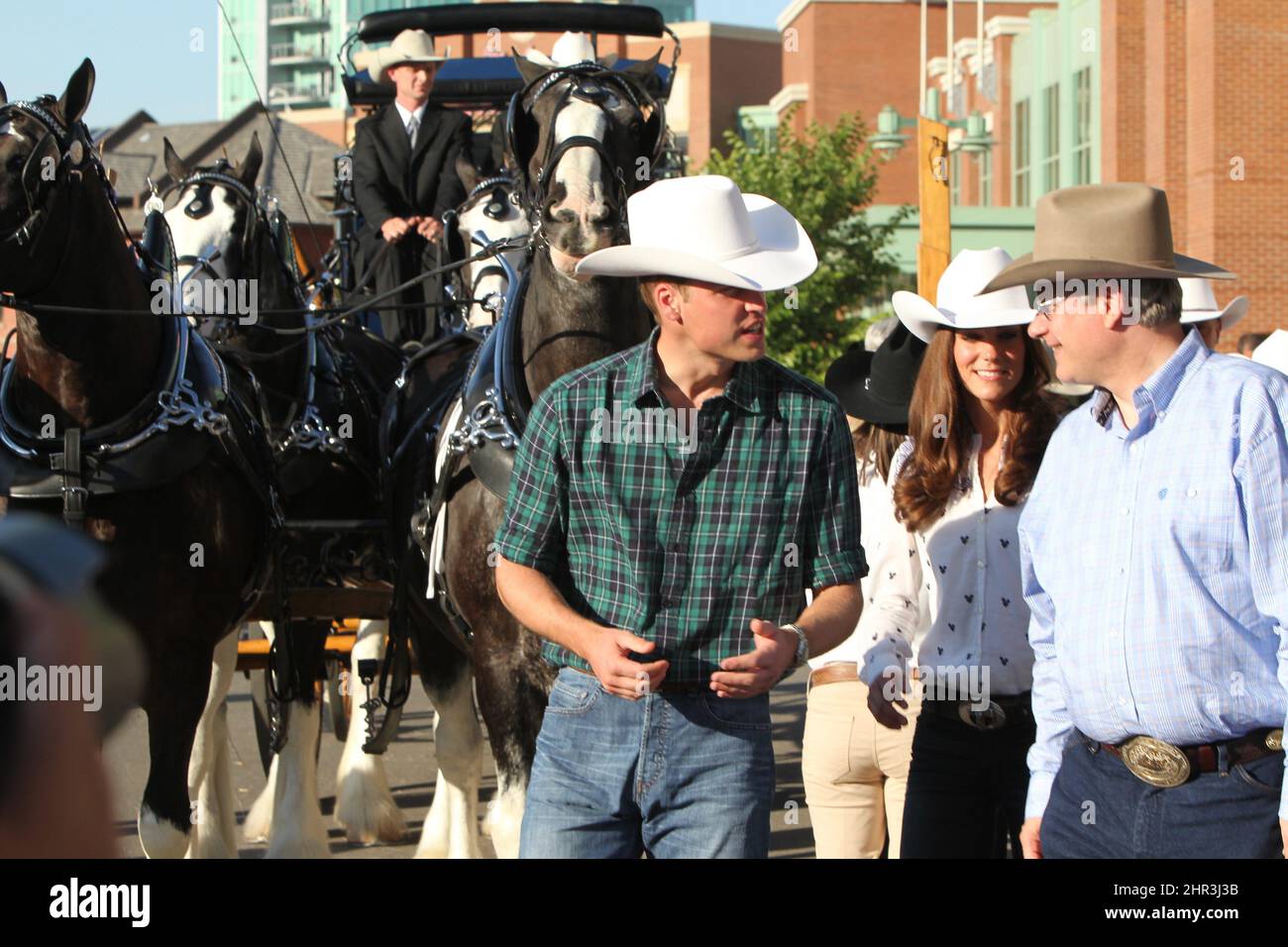 Stephen Harper Cowboy