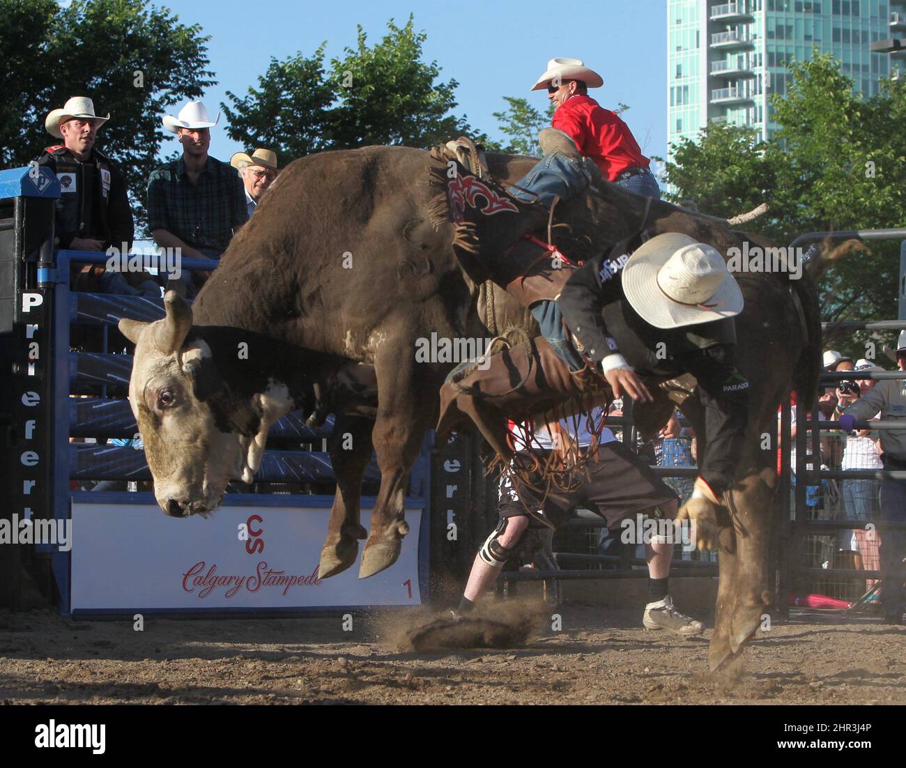 The Duke of Cambridge, second left, watches a bull rding event at the ...
