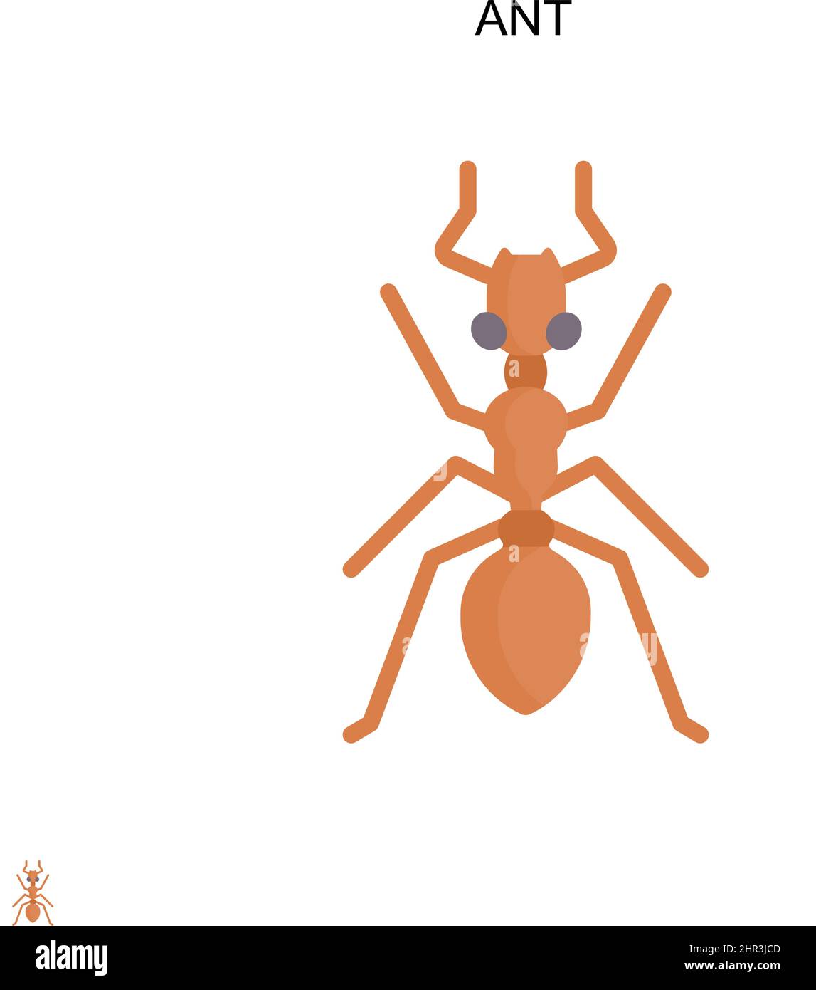 Ant wildlife Stock Vector Images - Alamy
