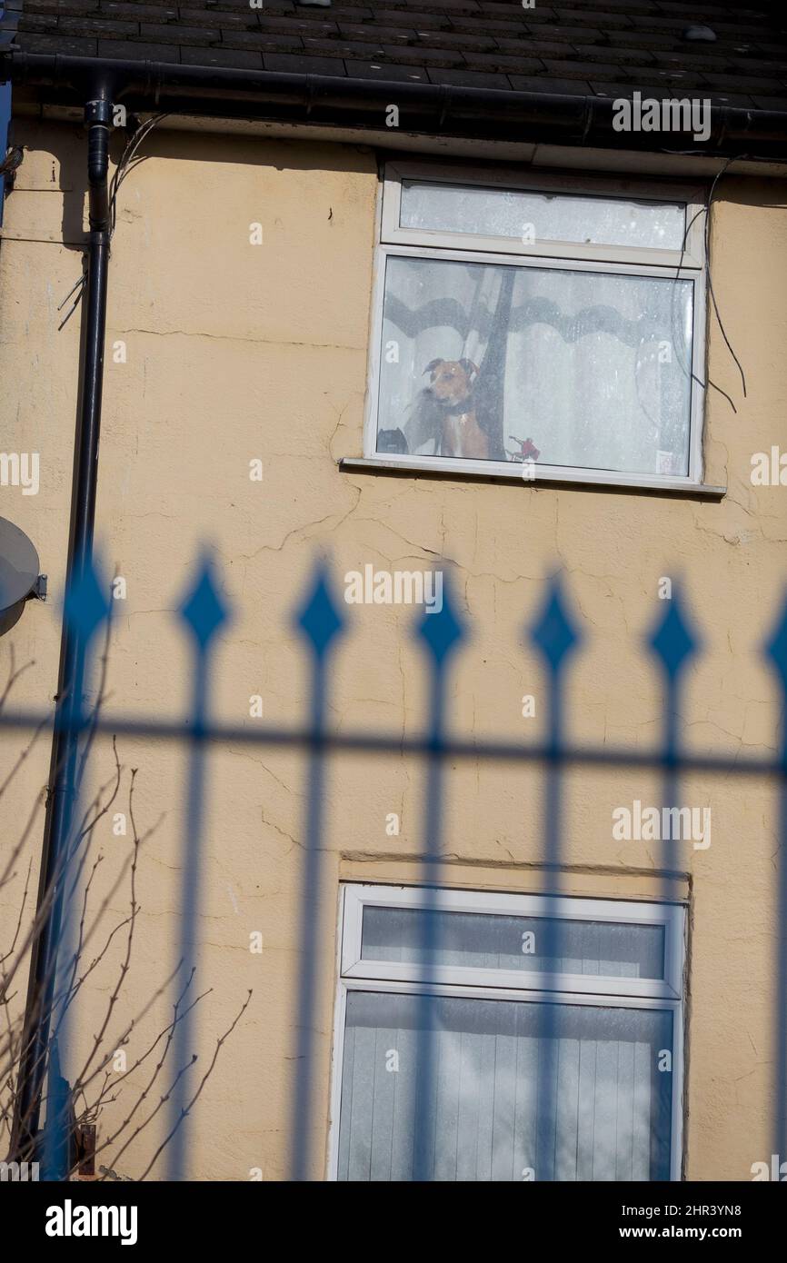 Council /housing association flats in Boothtown , Halifax, Calderdale ...