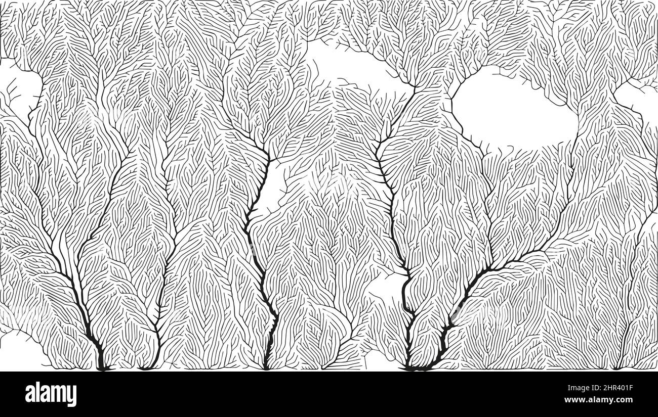 Growth pattern. Generative branching structure. Organic net of vessels ...