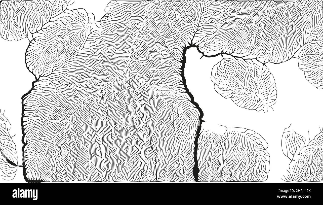 Growth pattern. Generative branching structure. Organic net of vessels ...
