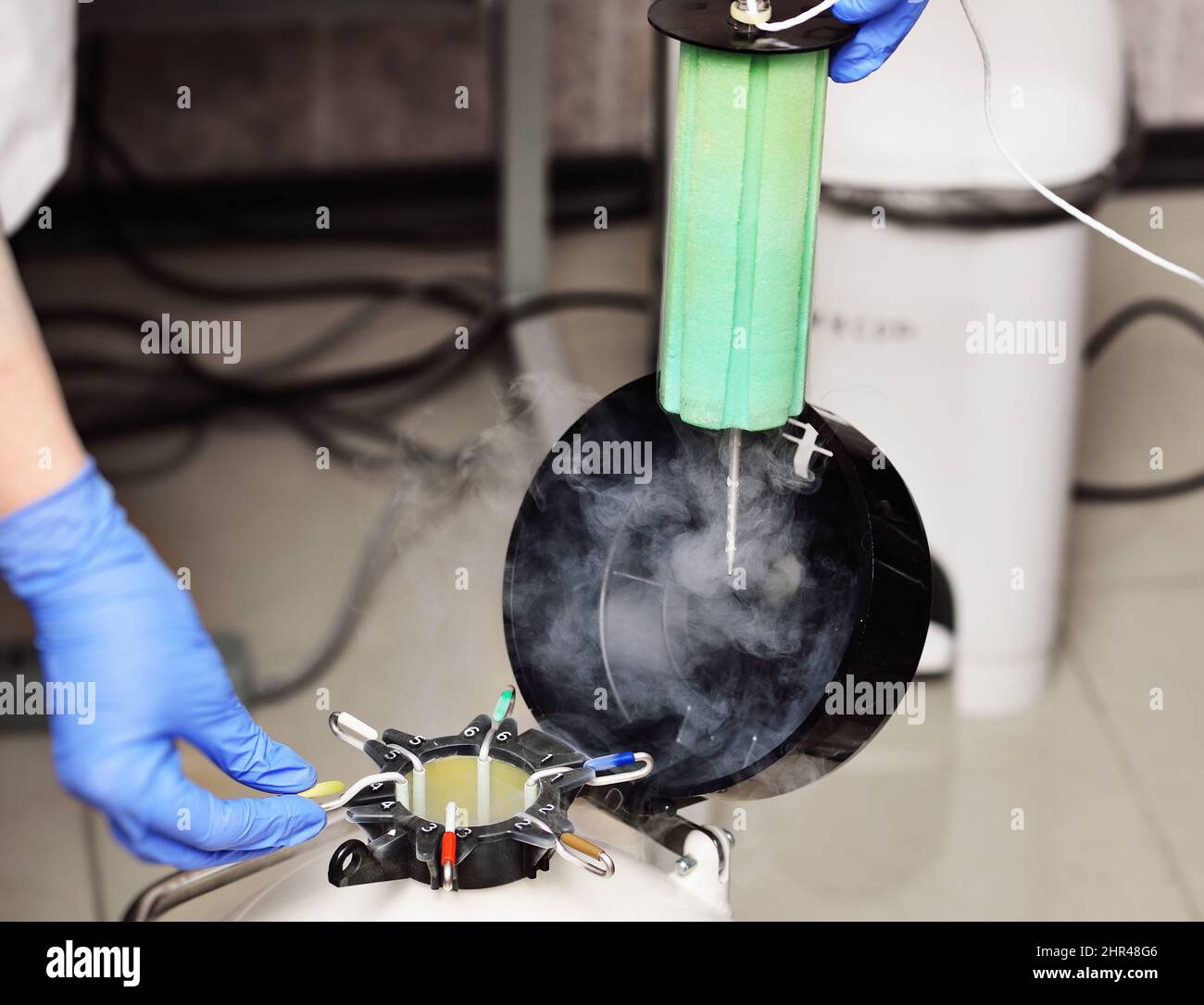 Liquid nitrogen tank for embryo hi-res stock photography and images - Alamy