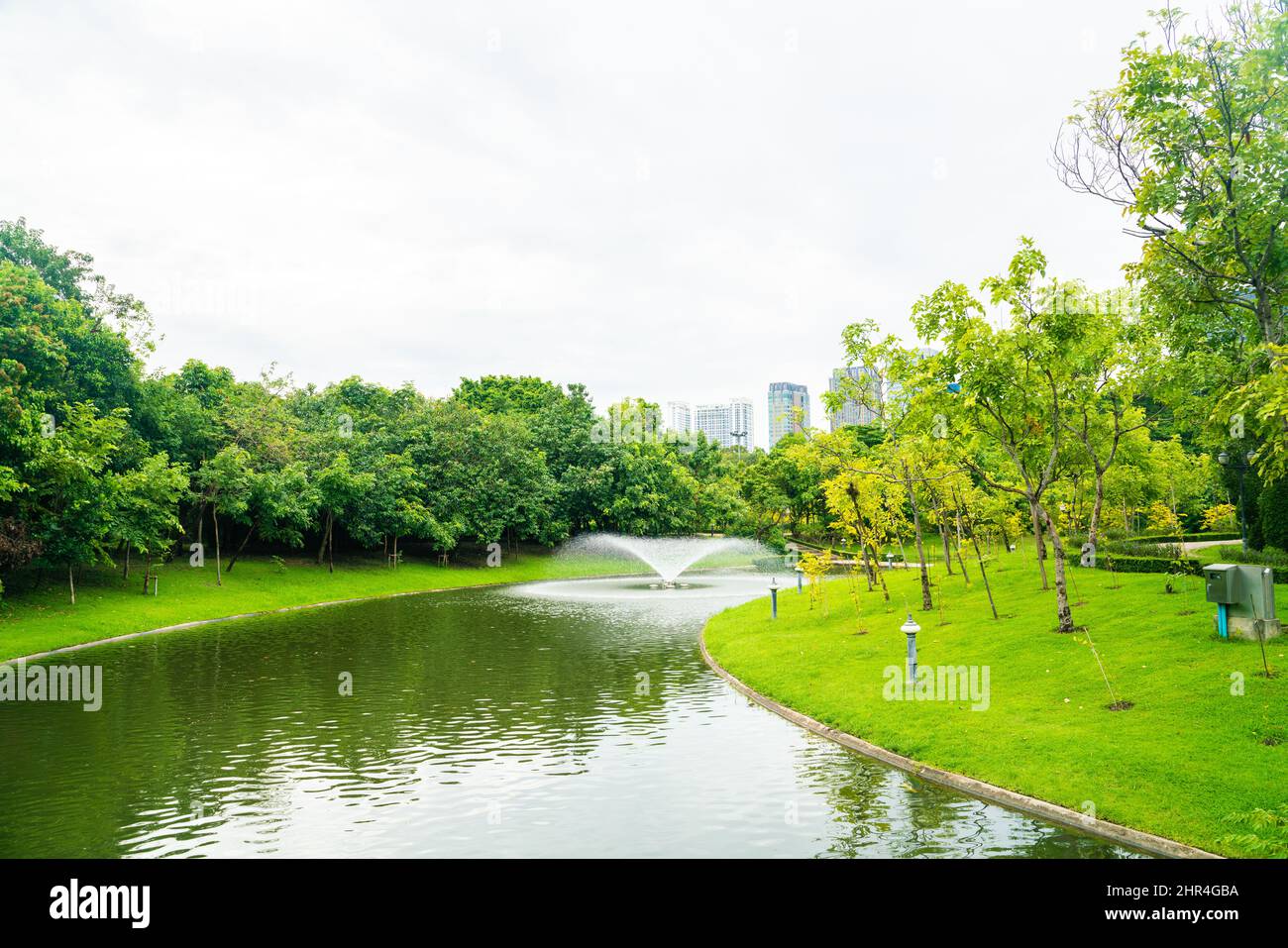 City public park sunny day with river and green tree background Stock ...