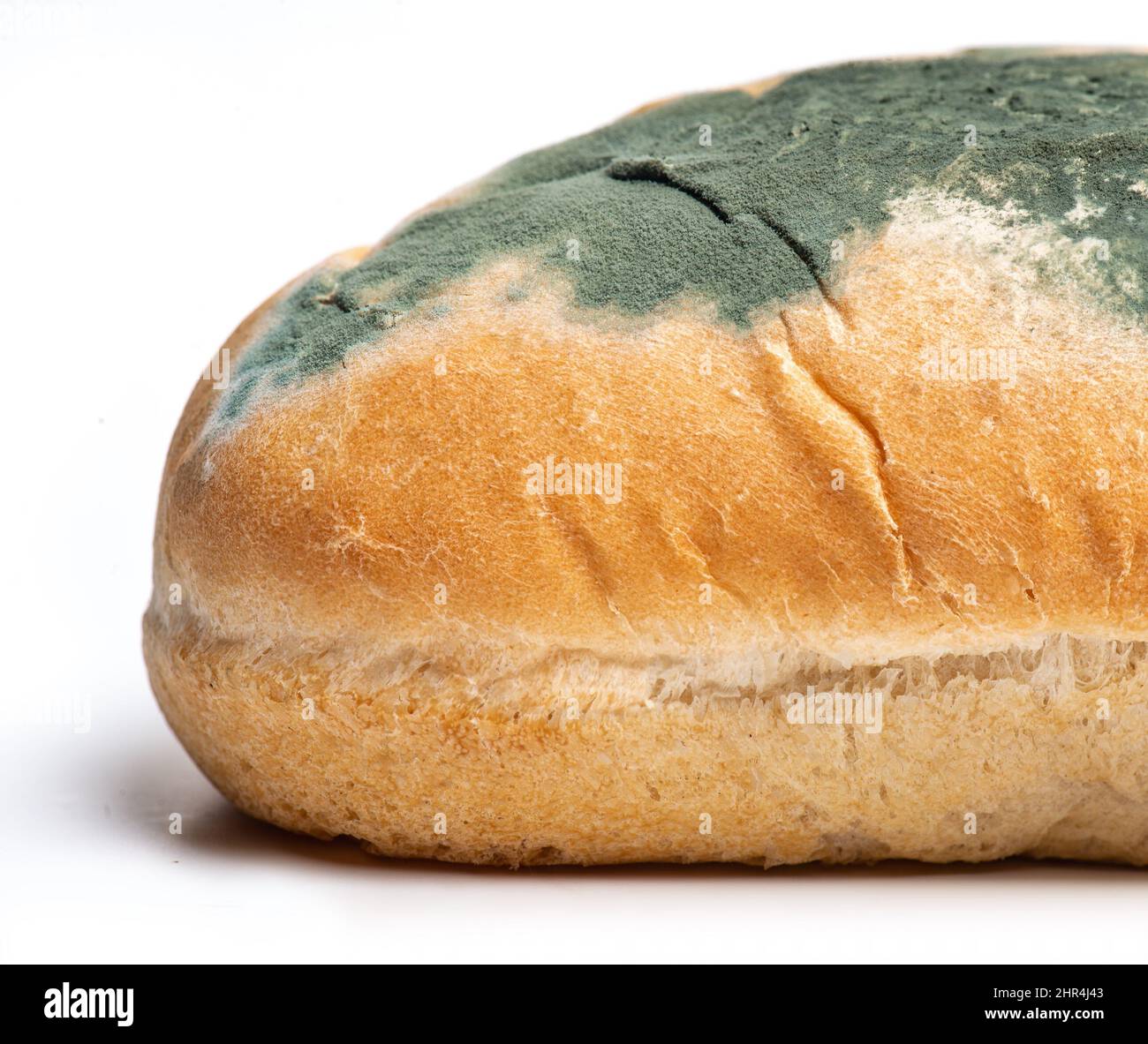 The old mold on the wheat hot-dog bread Spoiled fast food. Mold on food ...