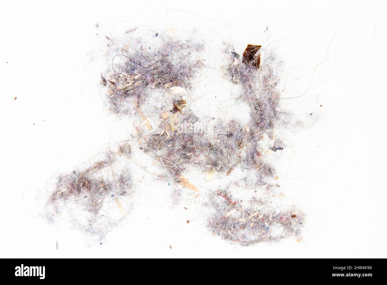 Trash, dust pile on a white background Stock Photo - Alamy