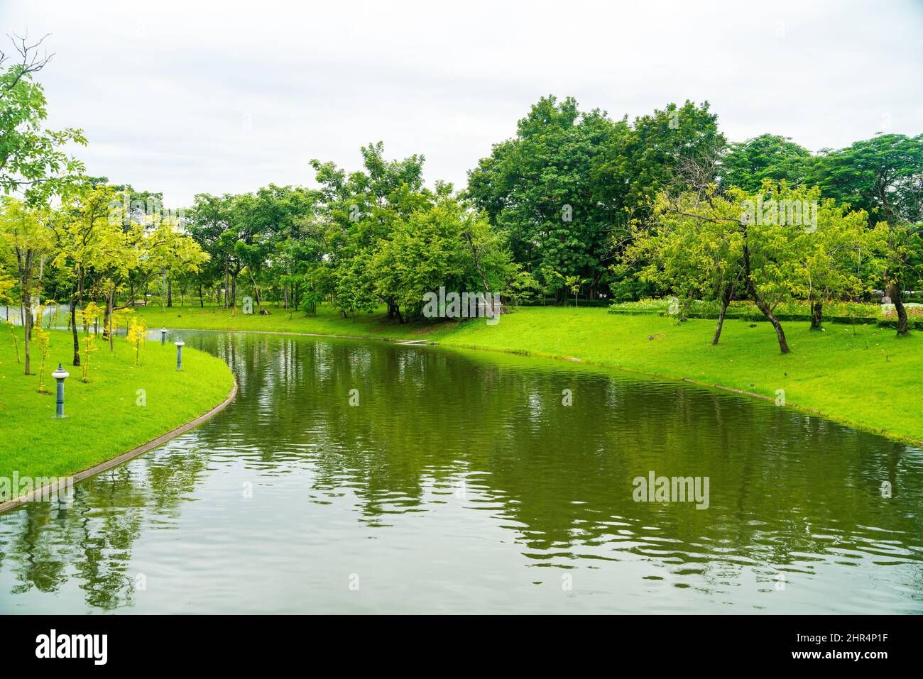 City public park sunny day with river and green tree background Stock ...