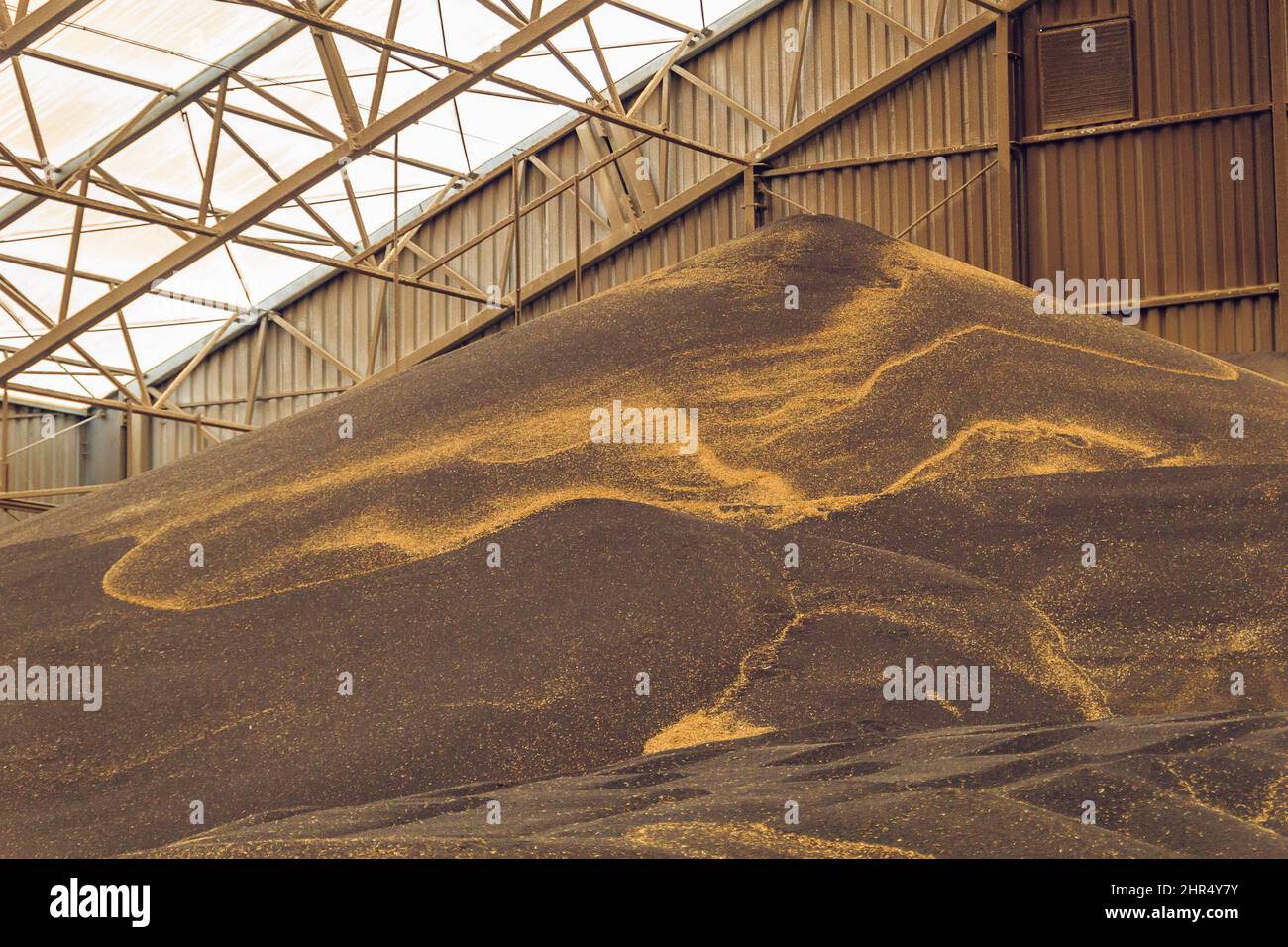 Interiors of a warehouse for storing grains in bulk Stock Photo - Alamy