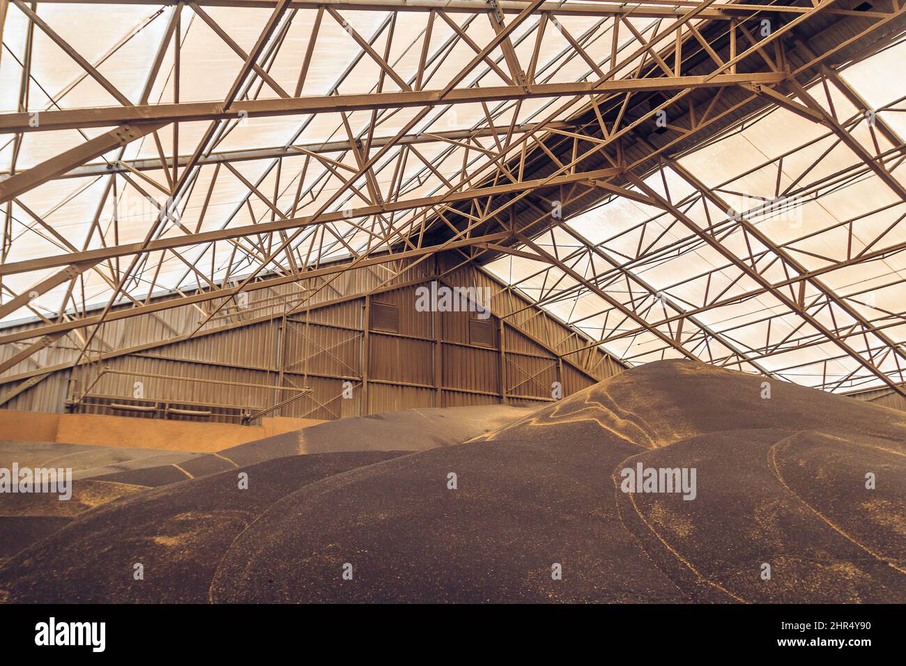 Interiors of a warehouse for storing grains in bulk Stock Photo - Alamy