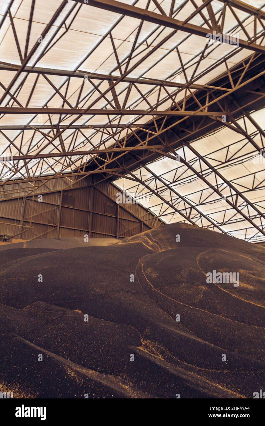 Interiors of a warehouse for storing grains in bulk Stock Photo - Alamy