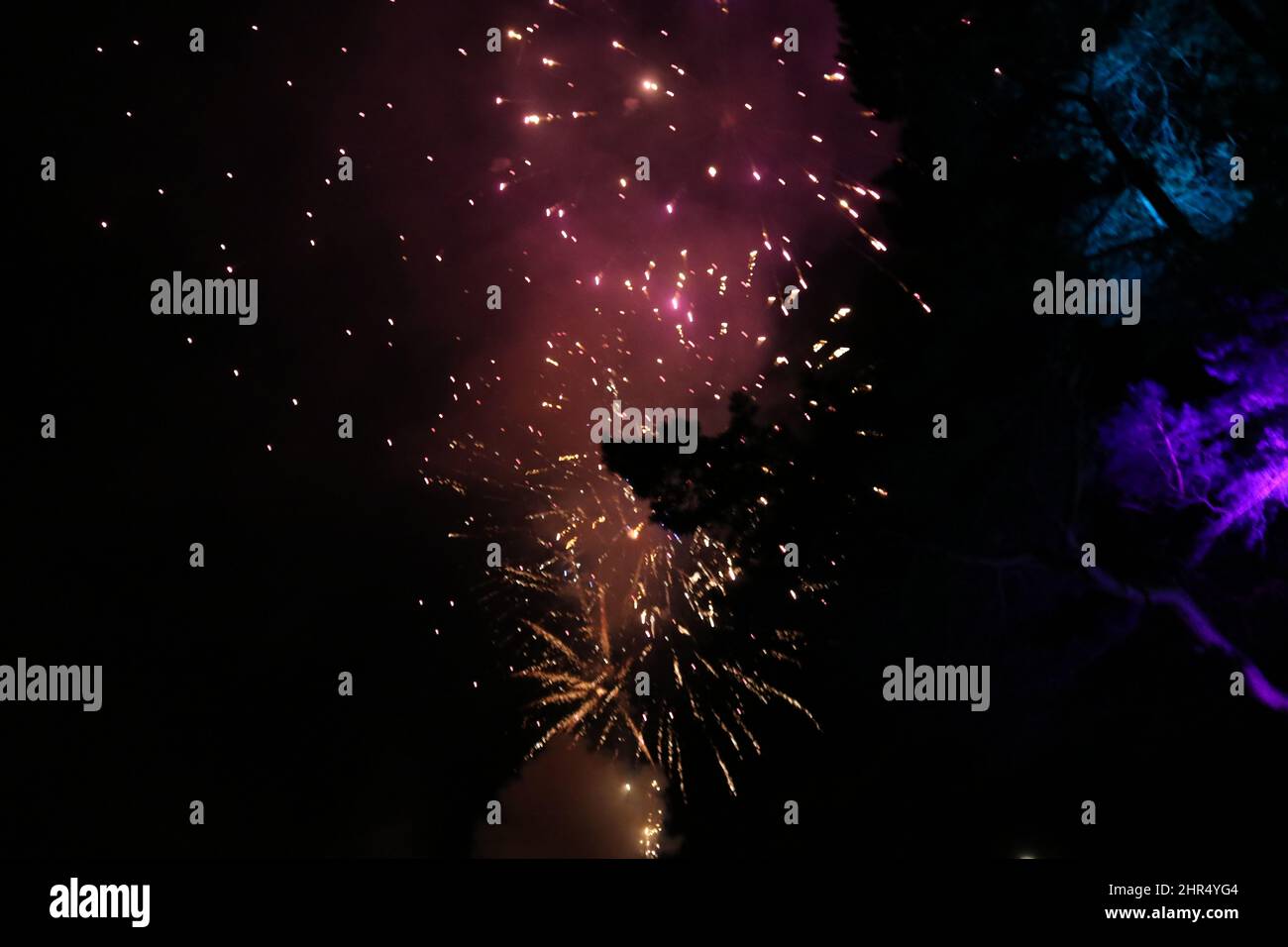 Low angle shot of bright fireworks during an event at night - perfect ...