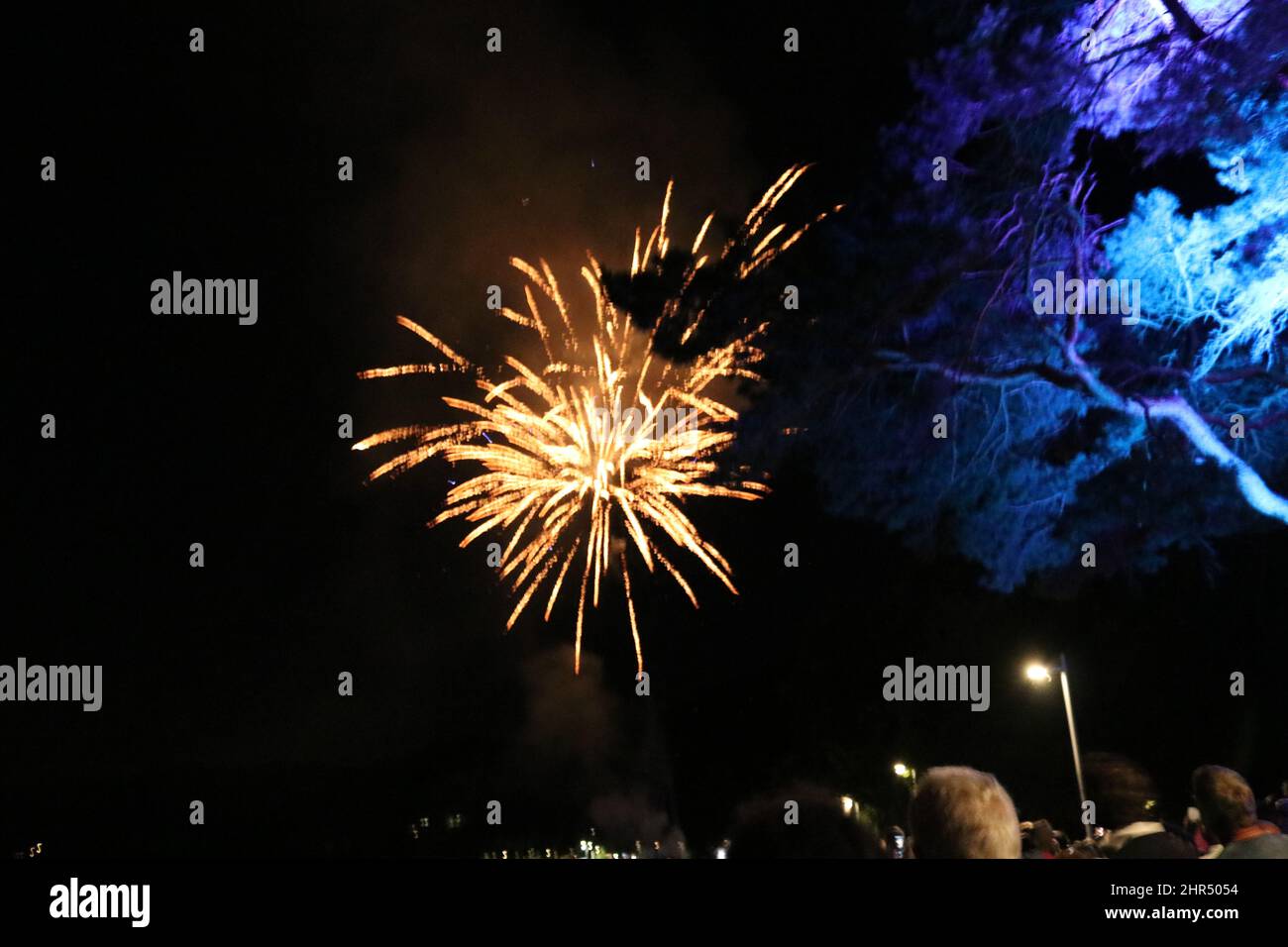 Low angle shot of bright fireworks during an event at night - perfect ...