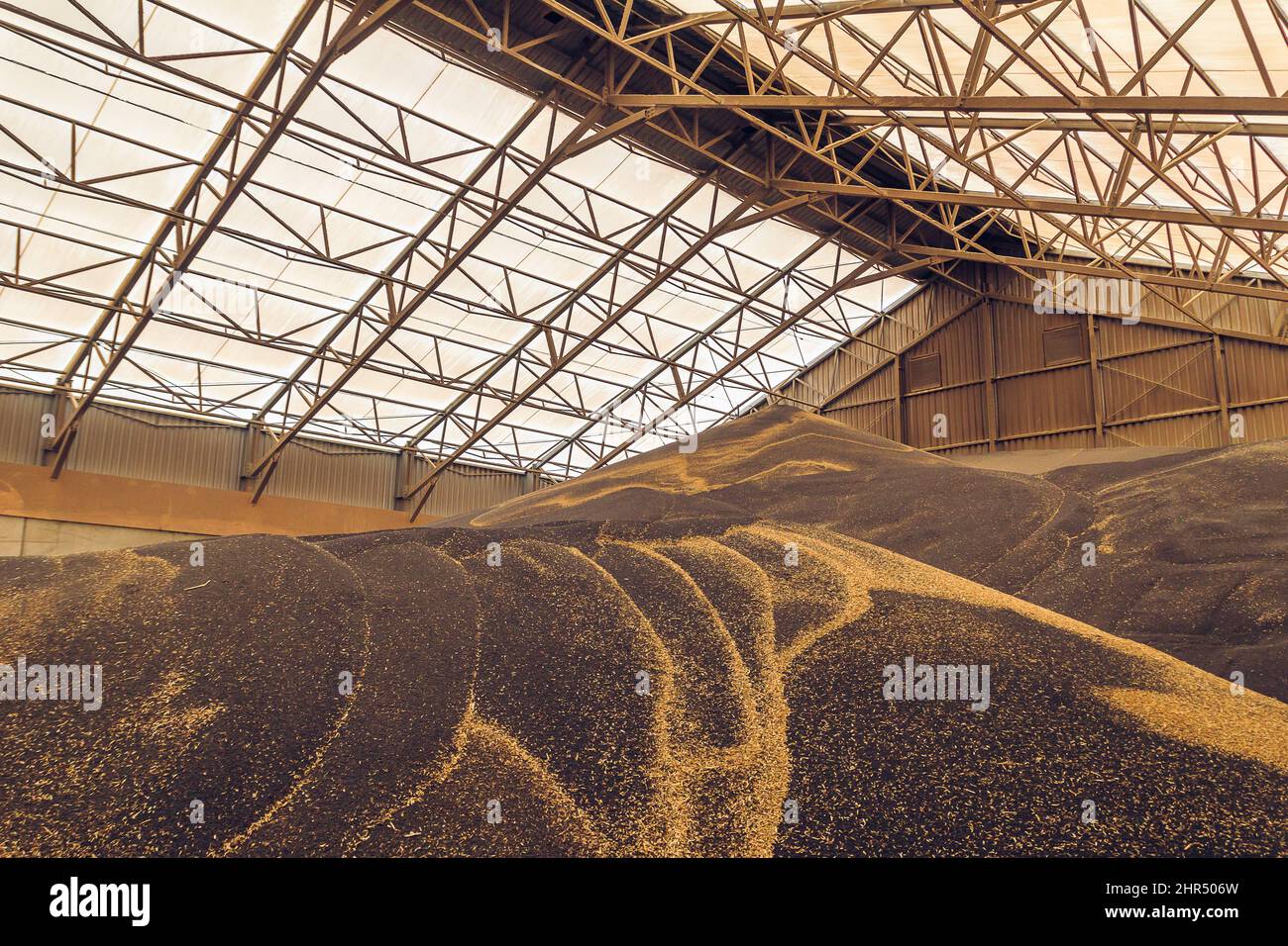 Interiors of a warehouse for storing grains in bulk Stock Photo - Alamy