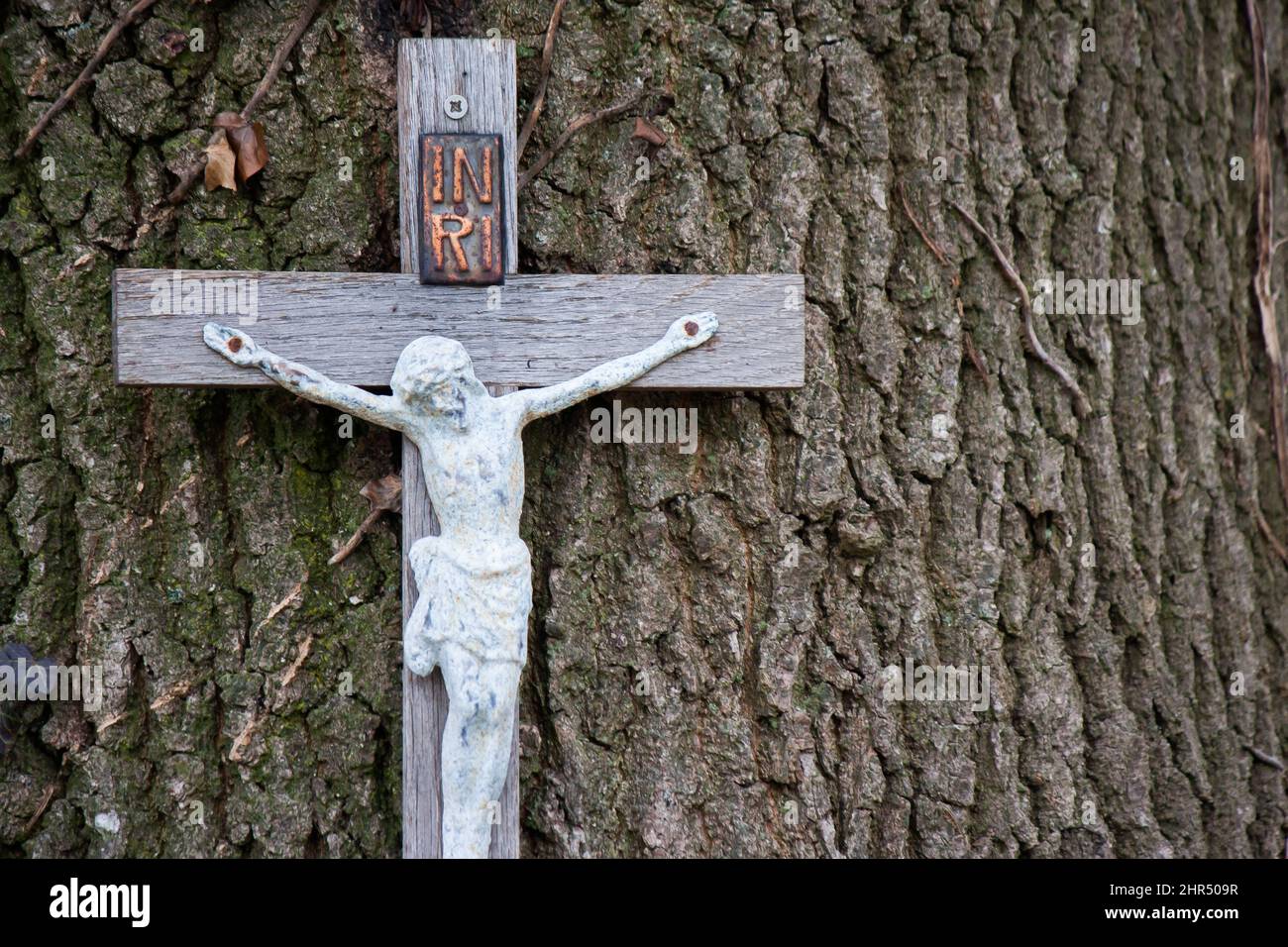 Close-up shot of a cemetery statue of Jesus on a tree Stock Photo - Alamy