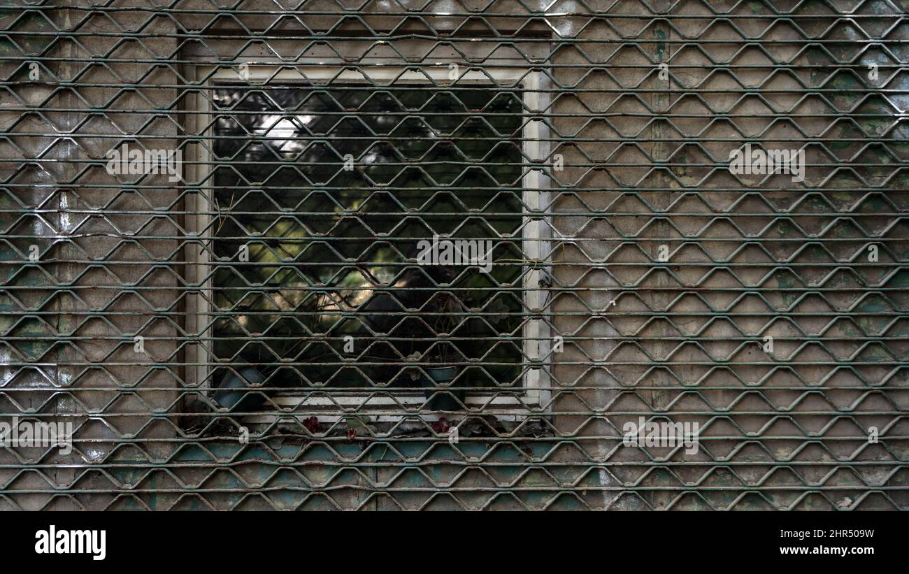 Front view of a window behind a metal grate Stock Photo - Alamy