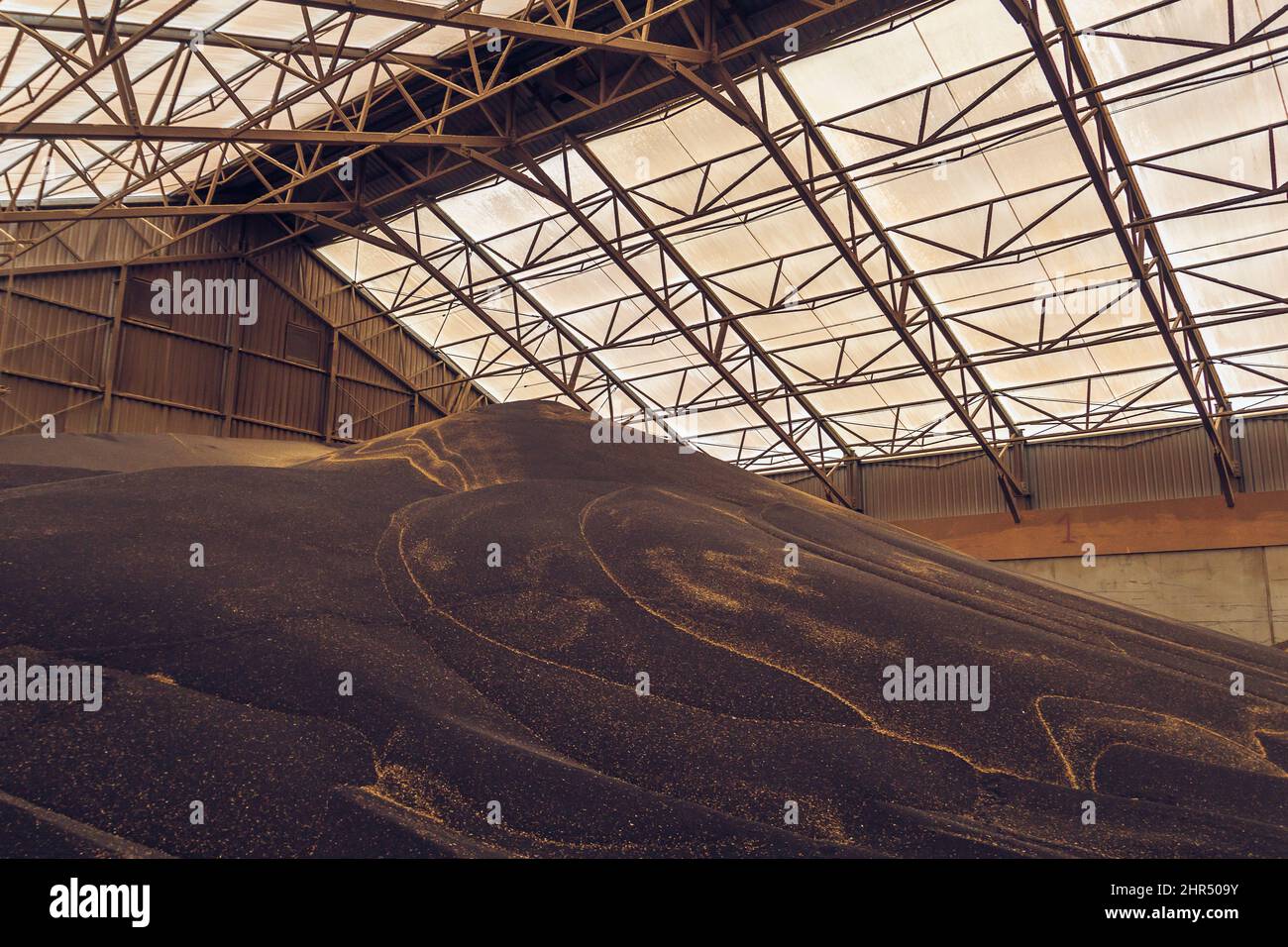Interiors of a warehouse for storing grains in bulk Stock Photo - Alamy
