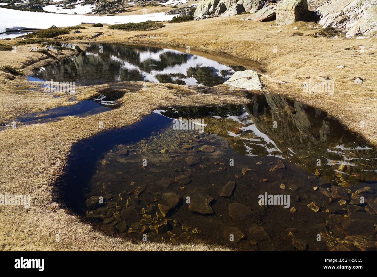 Covered with holes hi-res stock photography and images - Alamy