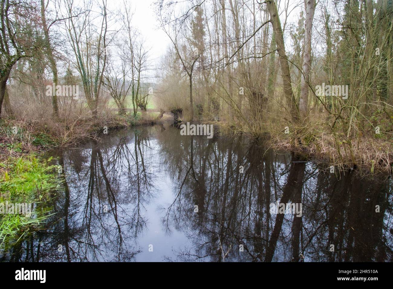 Dried trees beautiful river hi-res stock photography and images - Alamy