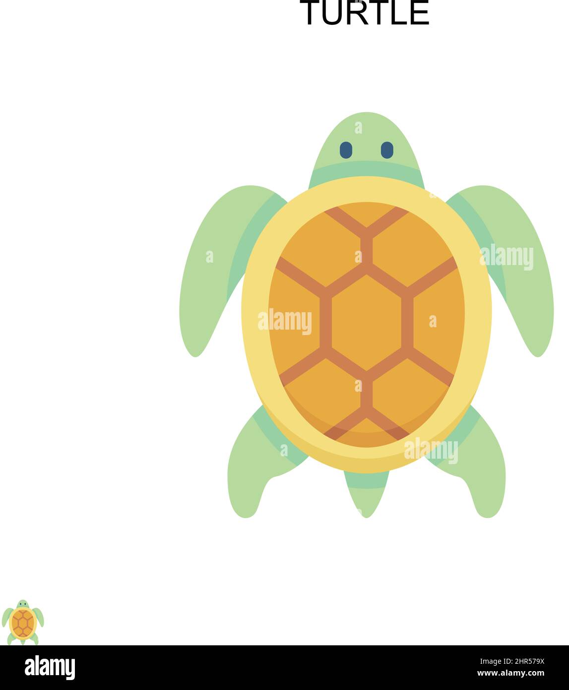 Turtle Simple vector icon. Illustration symbol design template for web ...