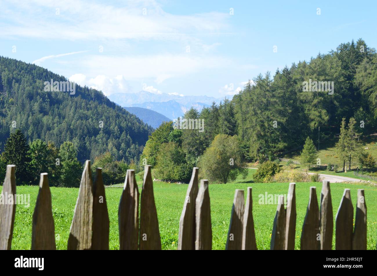 Trodena truden hi-res stock photography and images - Alamy