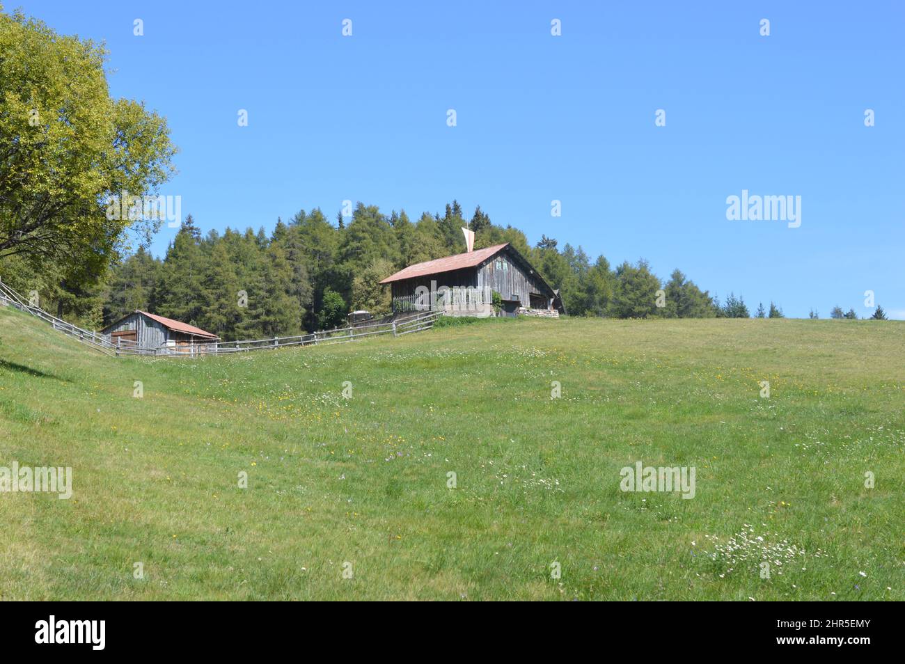 Trodena hi-res stock photography and images - Alamy