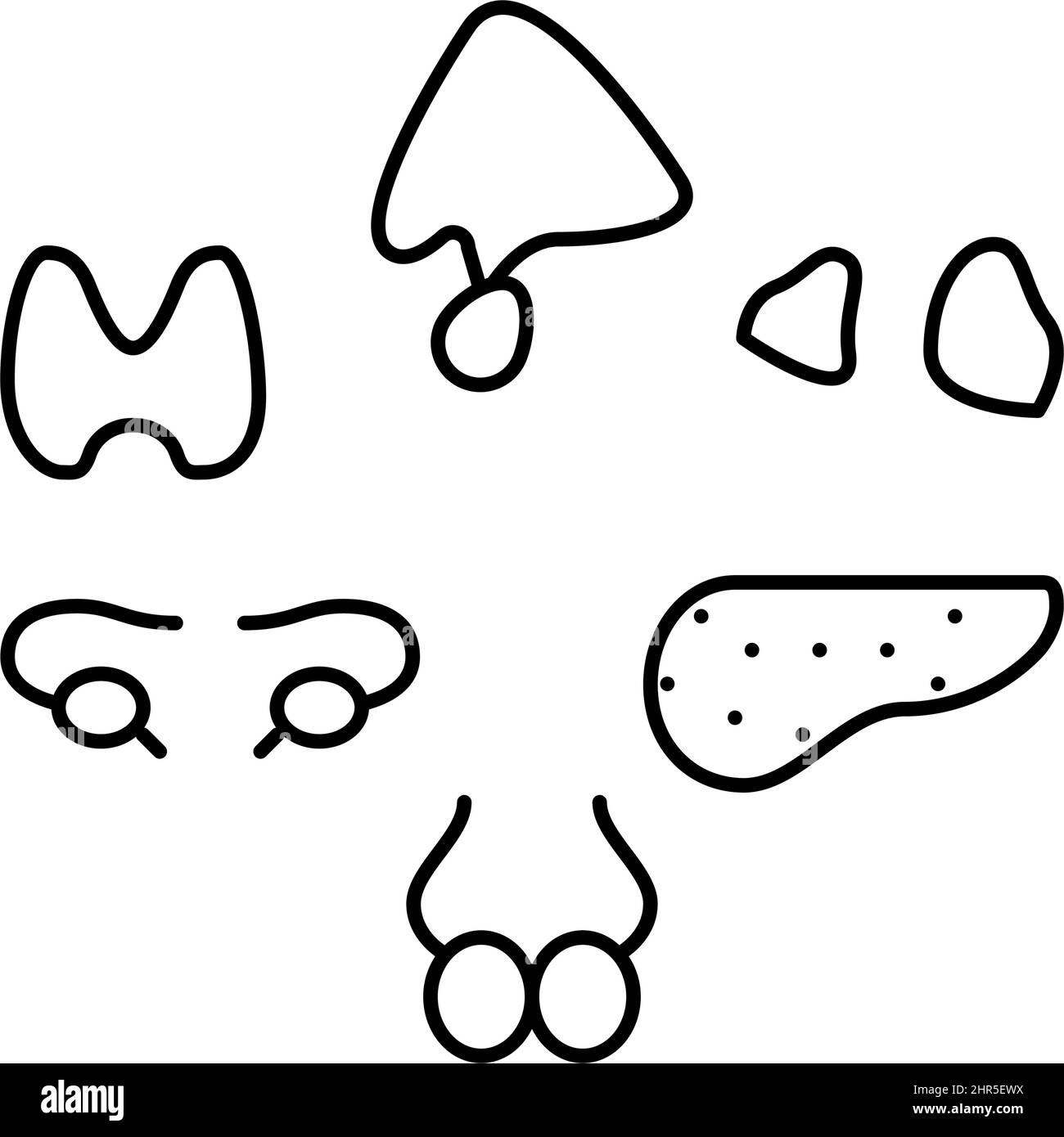 gland human organ line icon vector illustration Stock Vector Image ... gland human organ line icon vector illustration Stock Vector Image ...