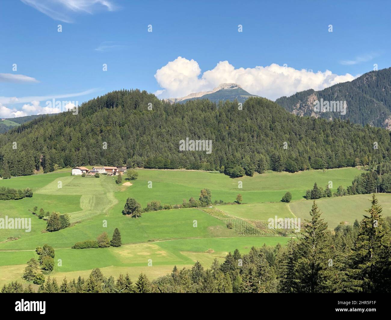Trodena truden hi-res stock photography and images - Alamy