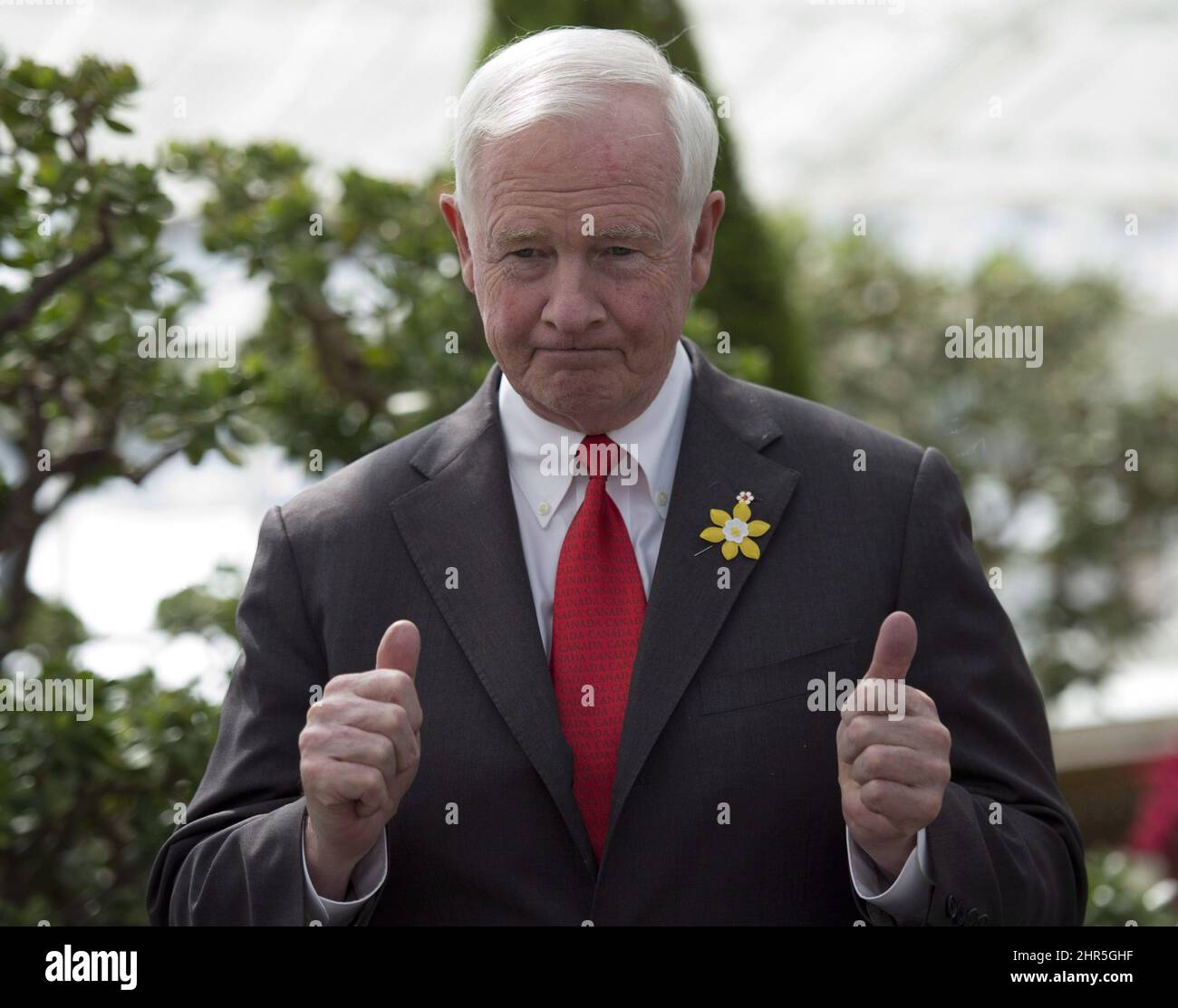 Canadian governor general david johnston rideau hall hi-res stock photography and images - Alamy