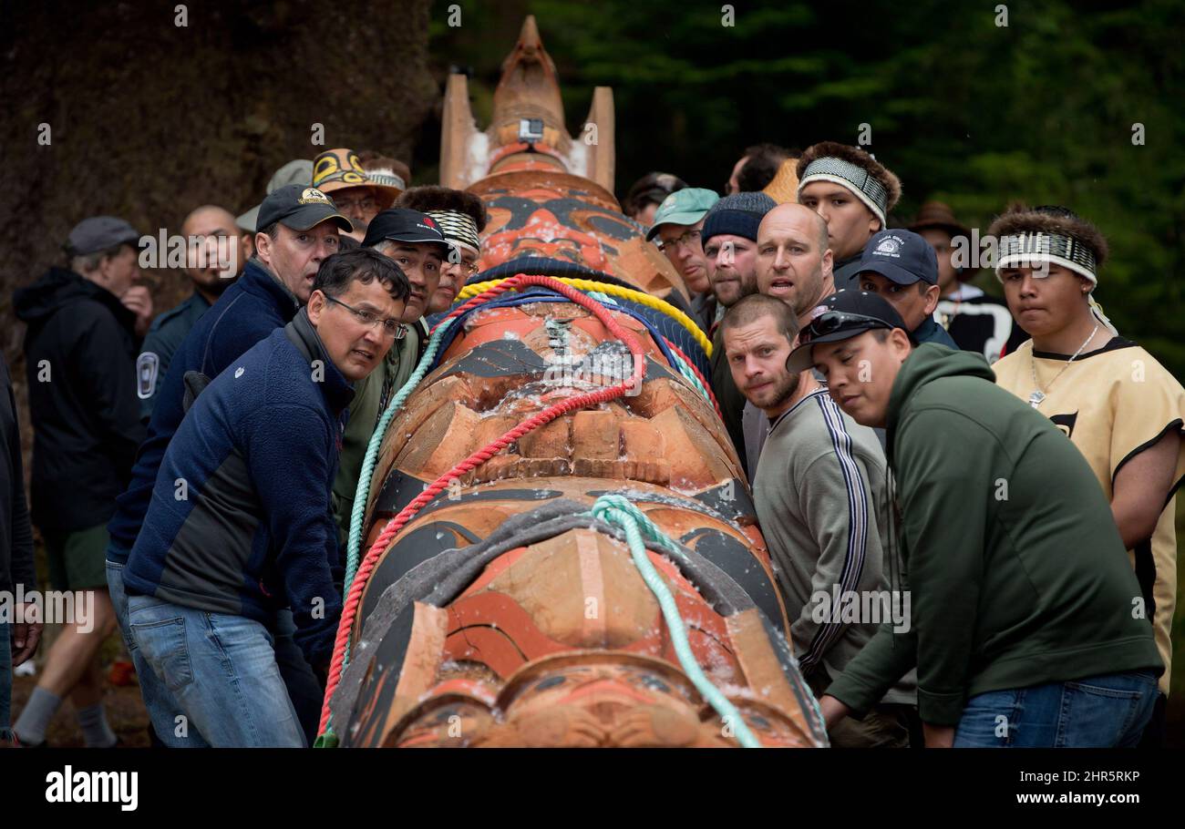 The Gwaii Haanas legacy totem pole is lifted and pushed into a hole ...