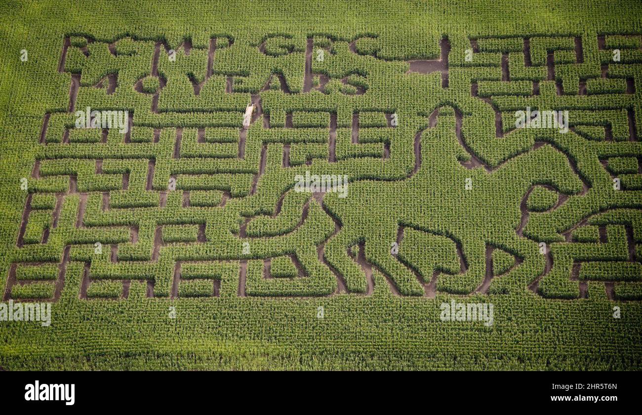 The symbol of an RCMP officer riding a horse is cut into a corn maze in ...