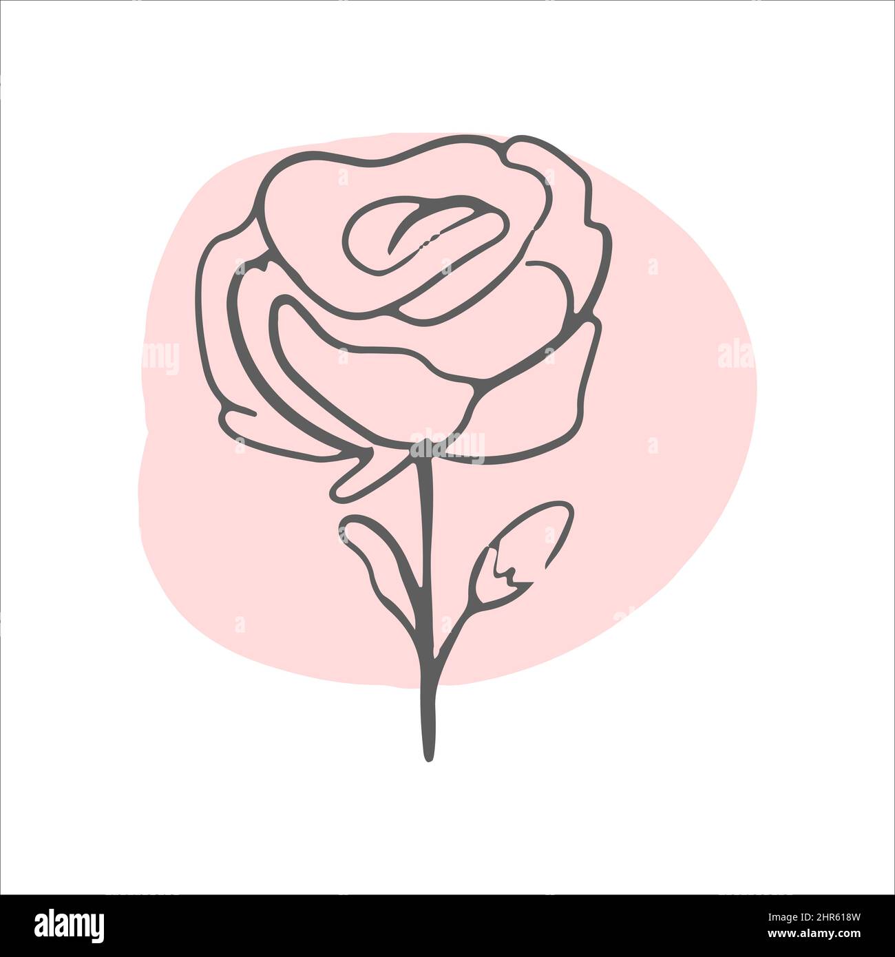 Single line Rose. Flower line nature icon vector. Trendy spring Vector ...