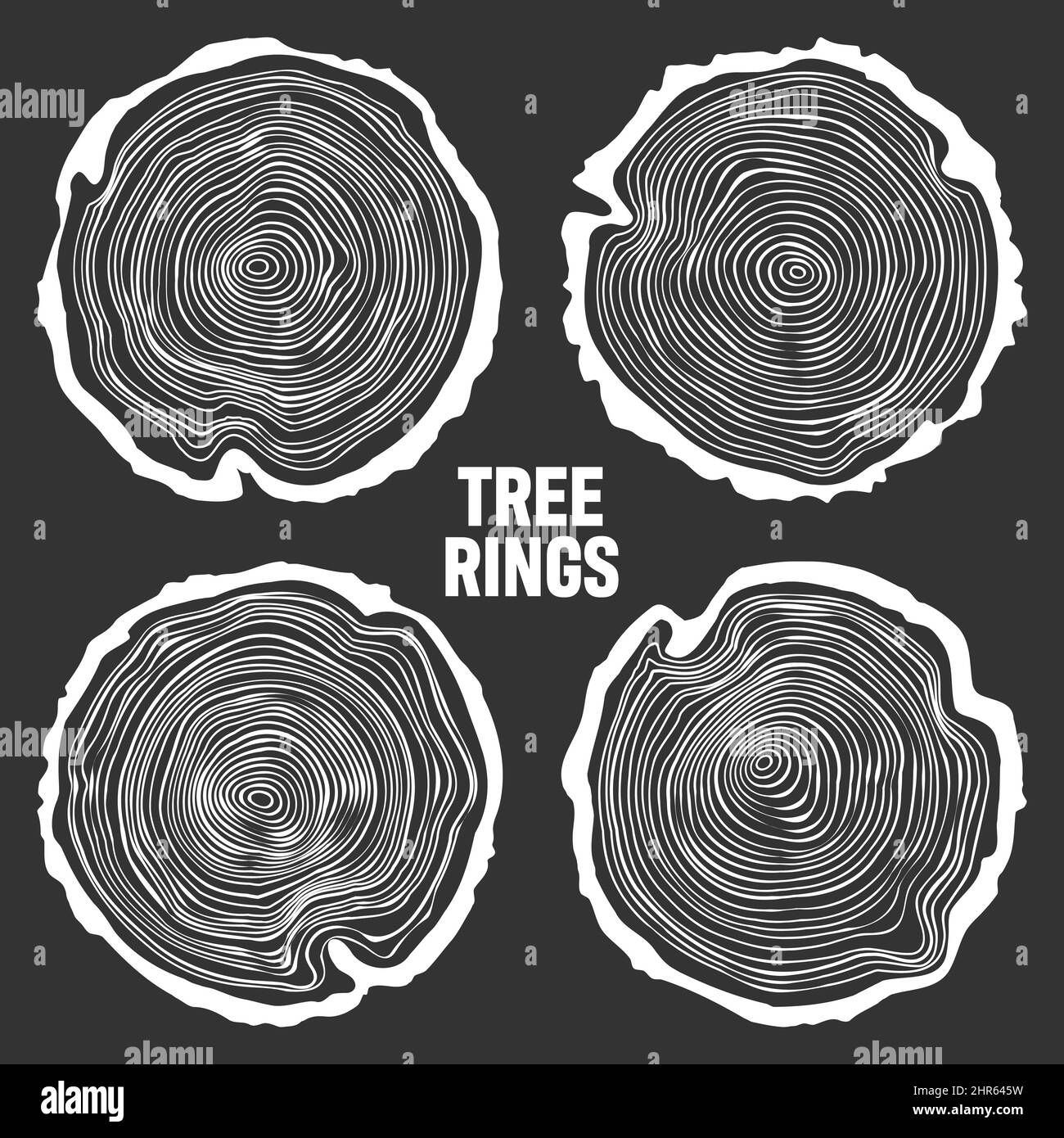 White round tree trunk cuts, sawn pine or oak slices, lumber. Saw cut ...