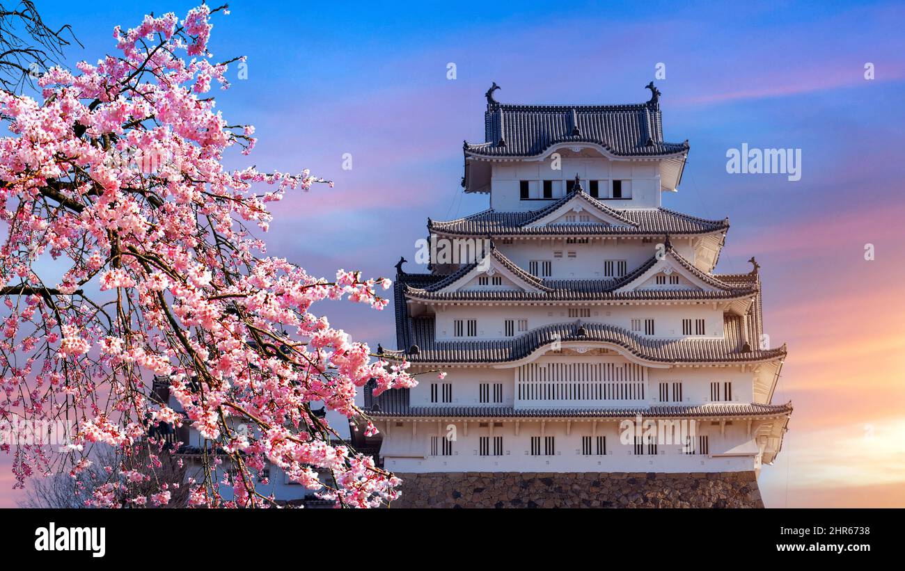Cherry blossoms and castle in Himeji, Japan Stock Photo - Alamy