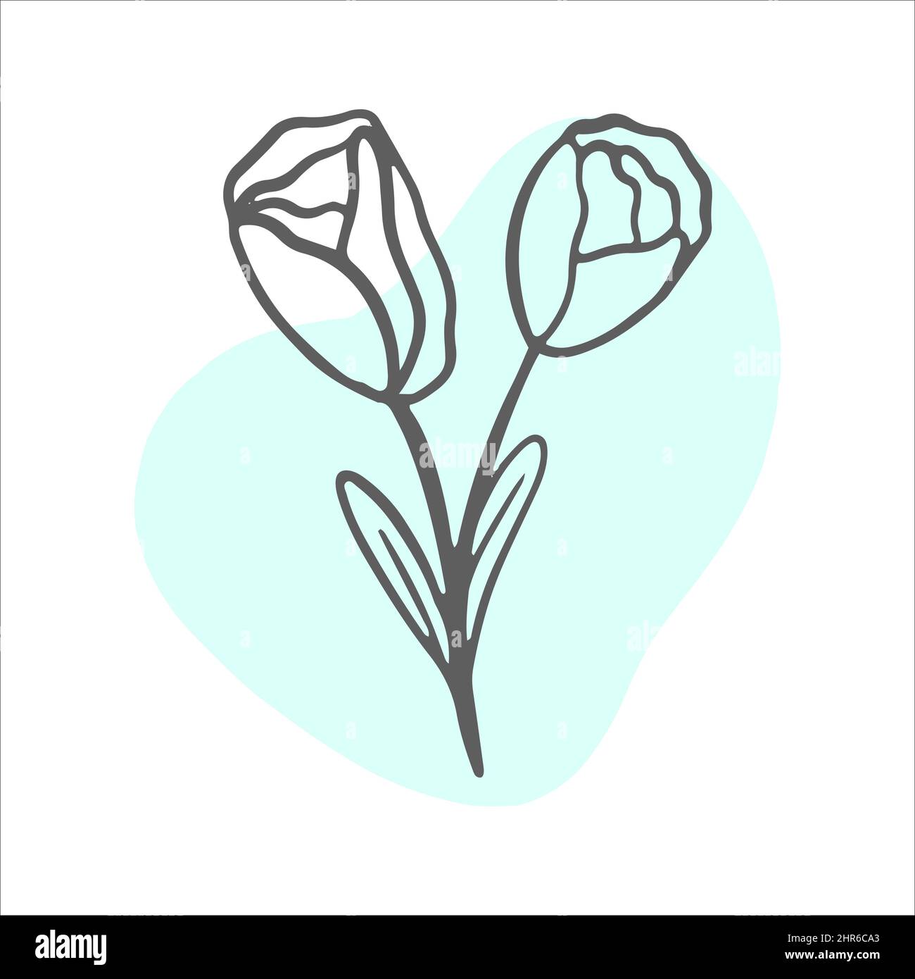 Single line Tulip. Flower line nature icon vector. Trendy spring Vector ...